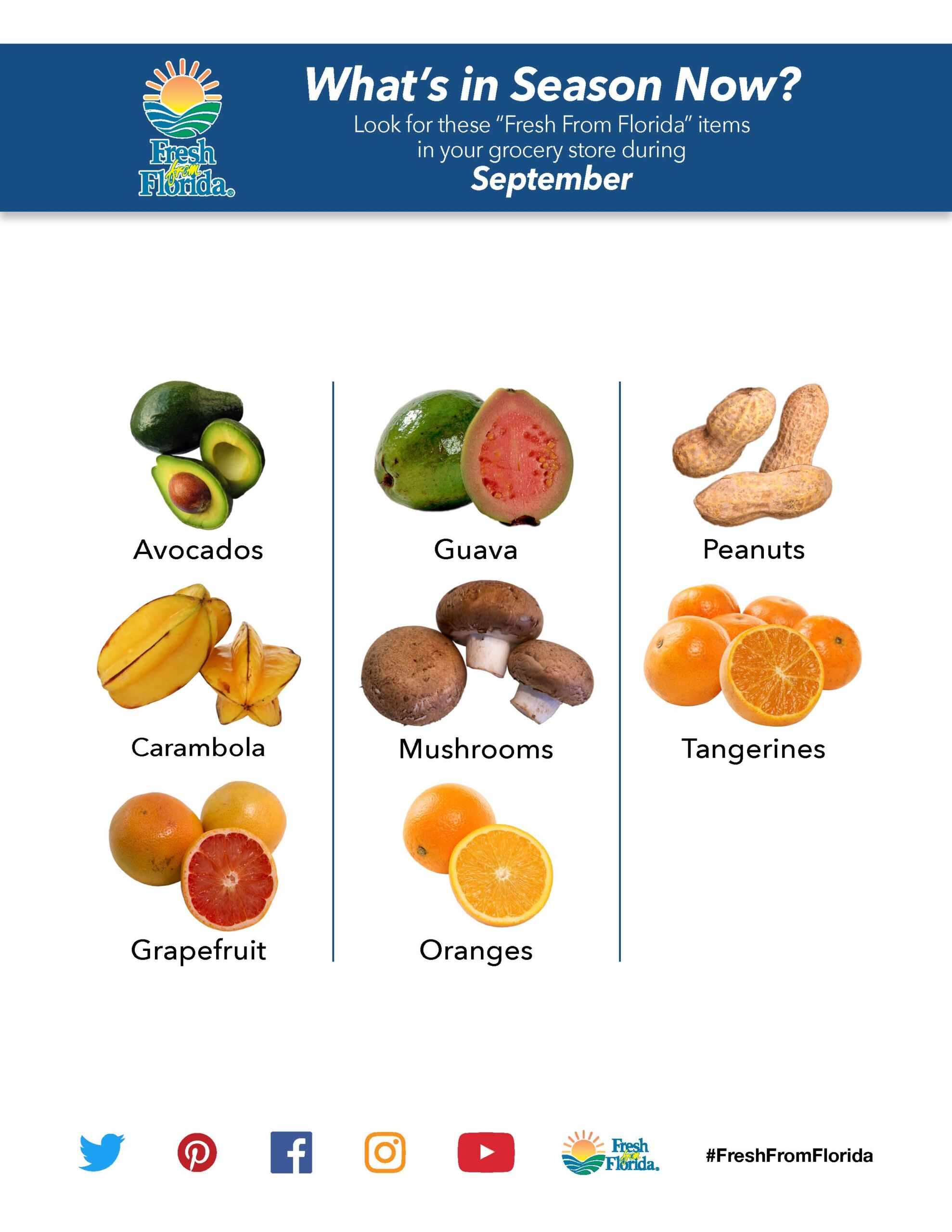 Senior Cafes - Neighborly Senior Care Network